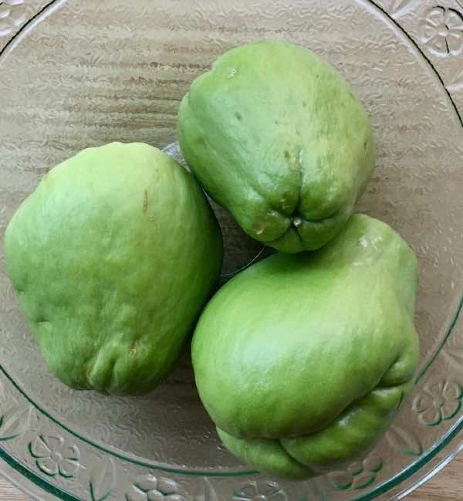 III ¿Chayote? Tu nuevo mejor amigo en la dieta keto